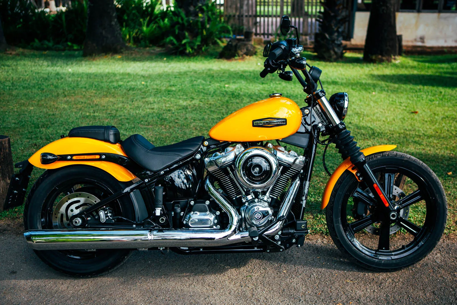 Harley-Davidson® Street Bob 117 | Harley-Davidson® Bikes for Thailand Tours